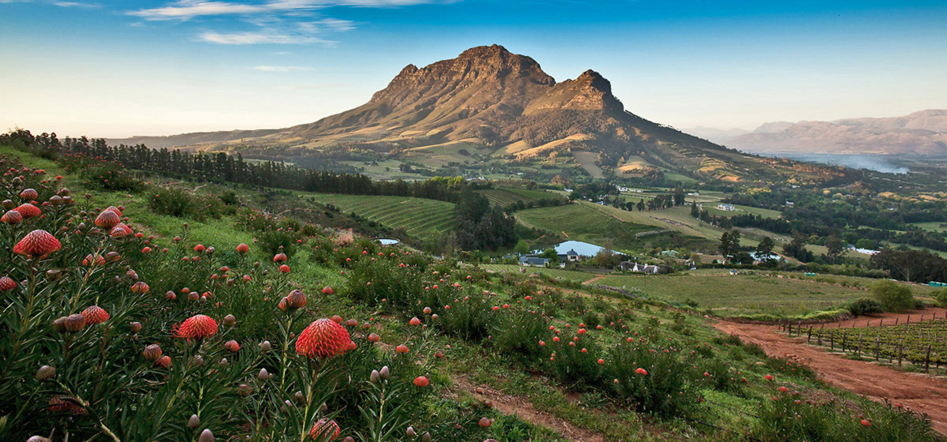 BANHOEK CORNER | Luxury Guest House, Banhoek Valley